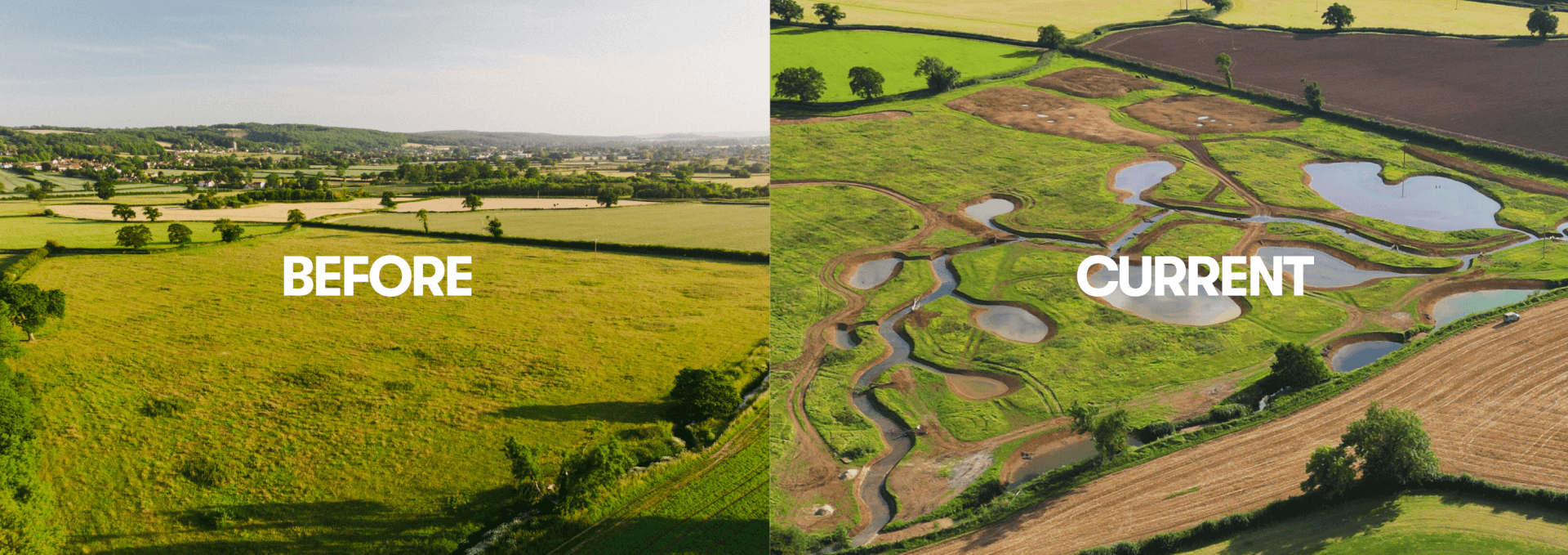 Restoring natural processes at Watercress Farm