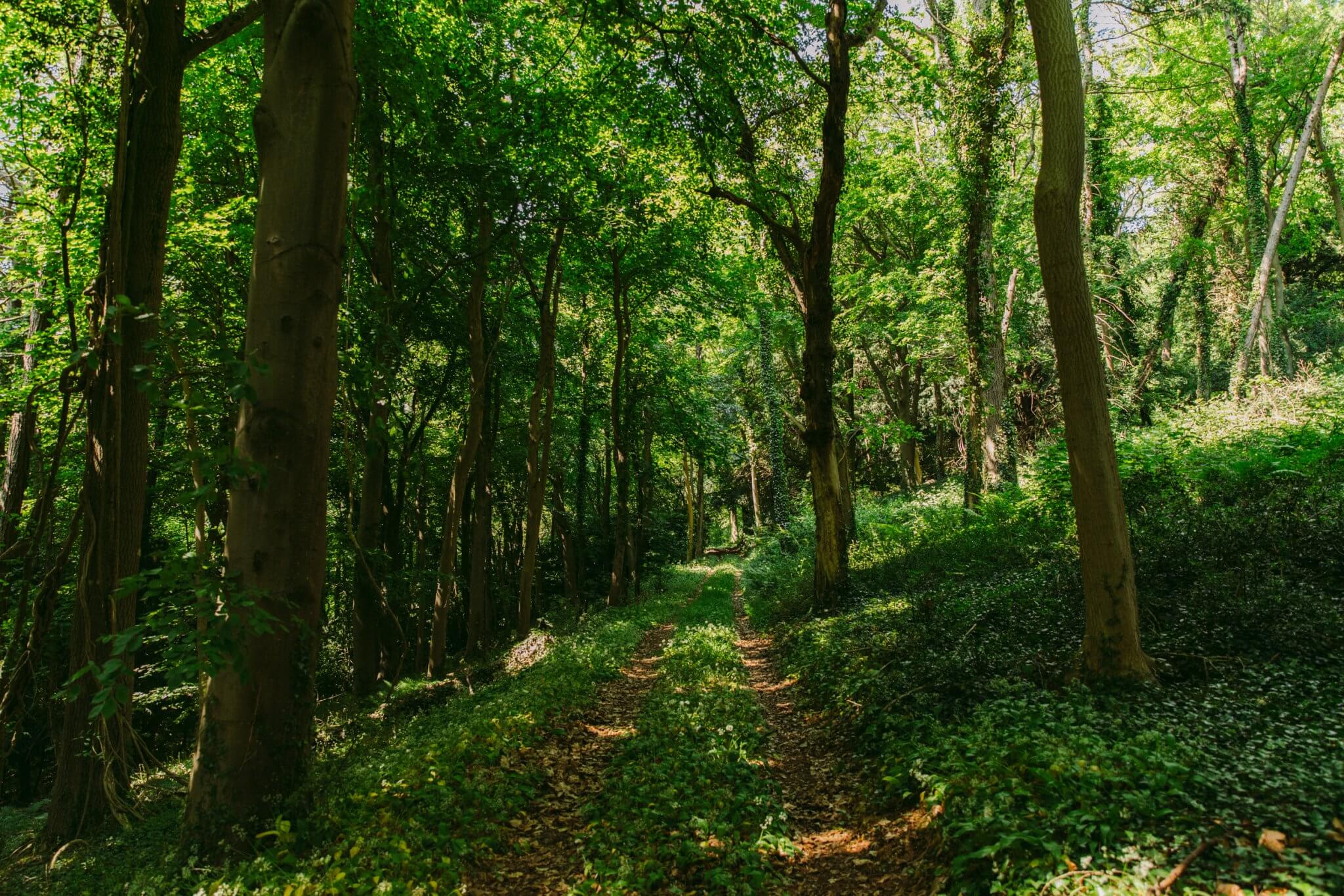 Biodiversity Net Gain - Offsite units available